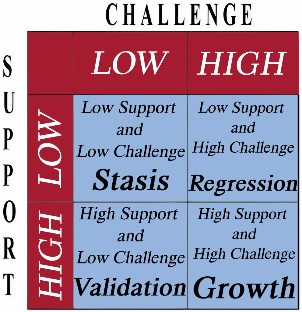 Effective Mentorship: Strategies for Fostering Growth and Success in ...