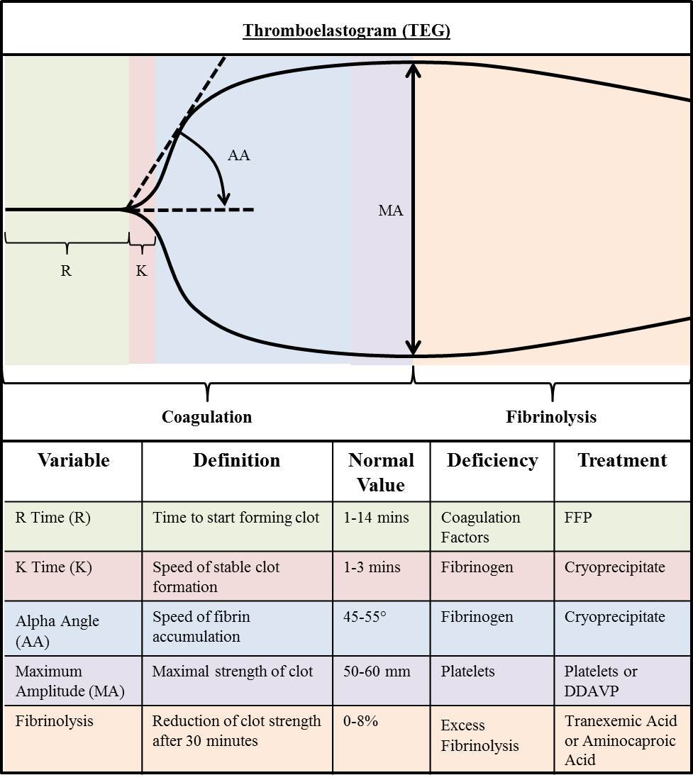 A Comprehensive Analysis of Coagulation Dynamics and Clinical Applications - Clinics in Medical ...