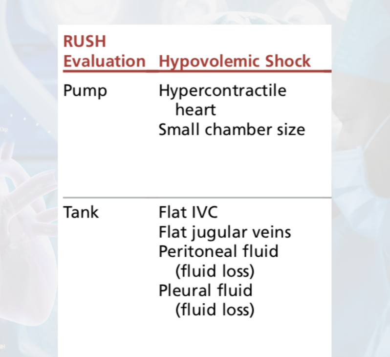 RUSH Clinical Ultrasound - Clinics in Medical Education